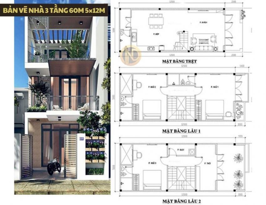 50+ Mẫu thiết kế nhà 60m2 3 tầng hiện đại, tối ưu